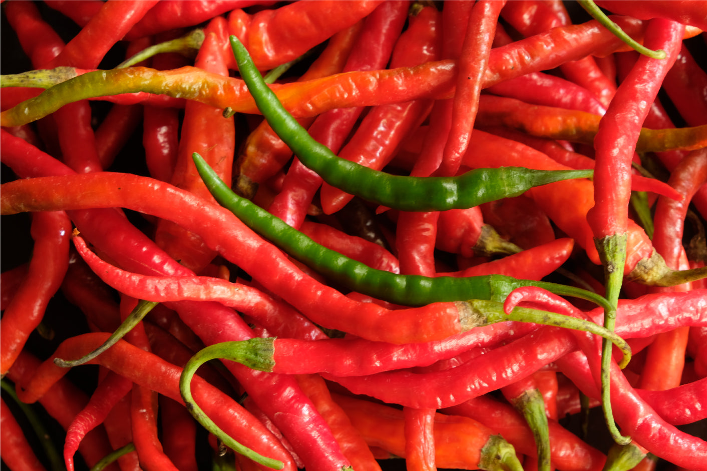 EL CHILE PARA EL CRECIMIENTO DEL CABELLO